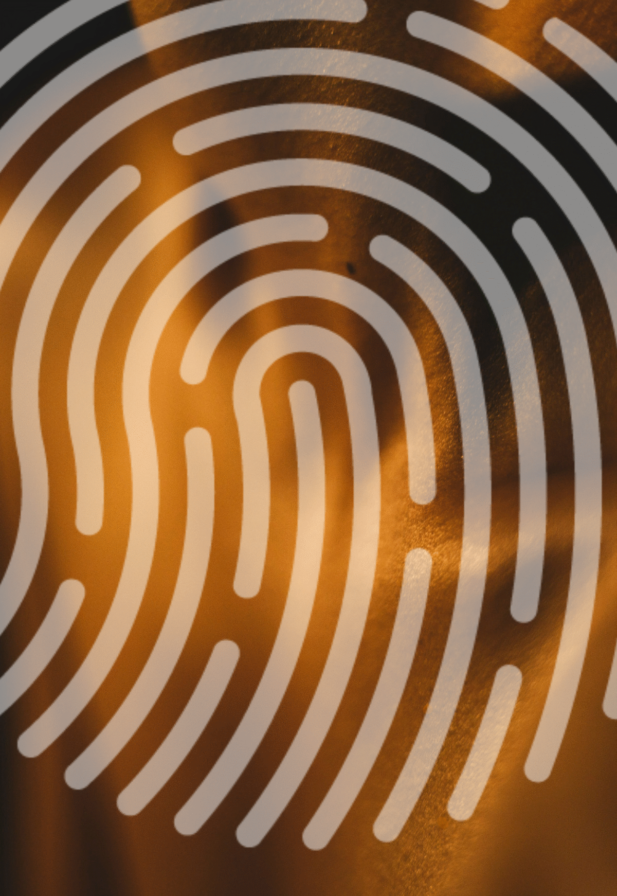 Hypertouch - ICG Italia